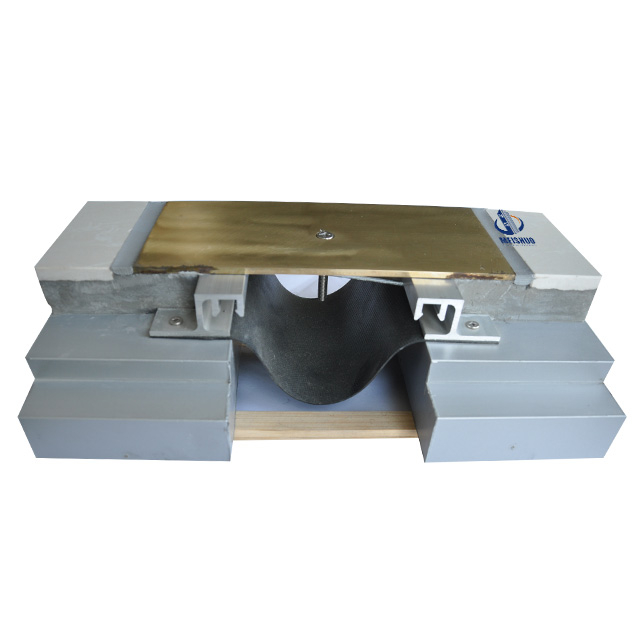 Metal Floor Expansion Joint Cover MSDGCP - Buy expansion joint, floor ...